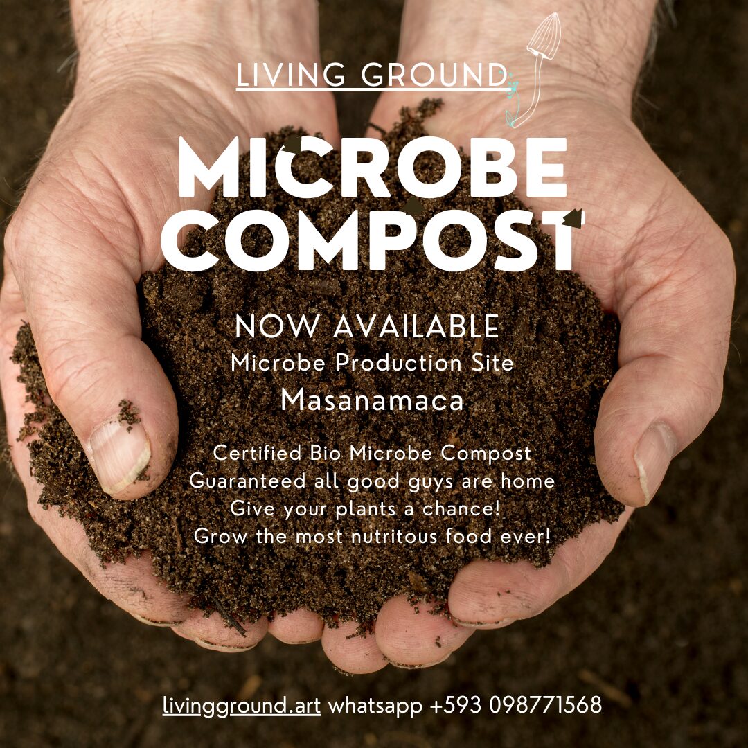 Microbe Compost and Regular Organic Compost: A Comparison - The ...