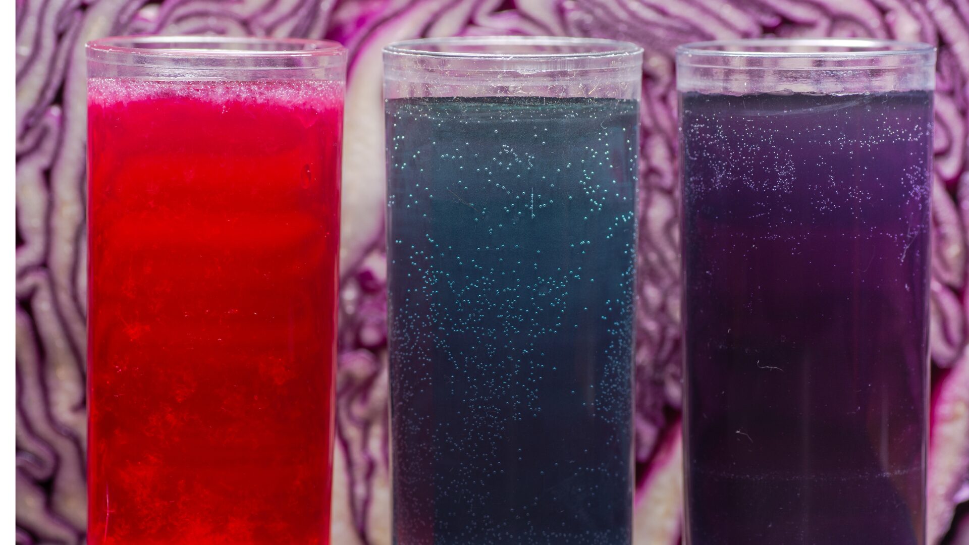 Red Cabbage pH Test - The Grounded Path