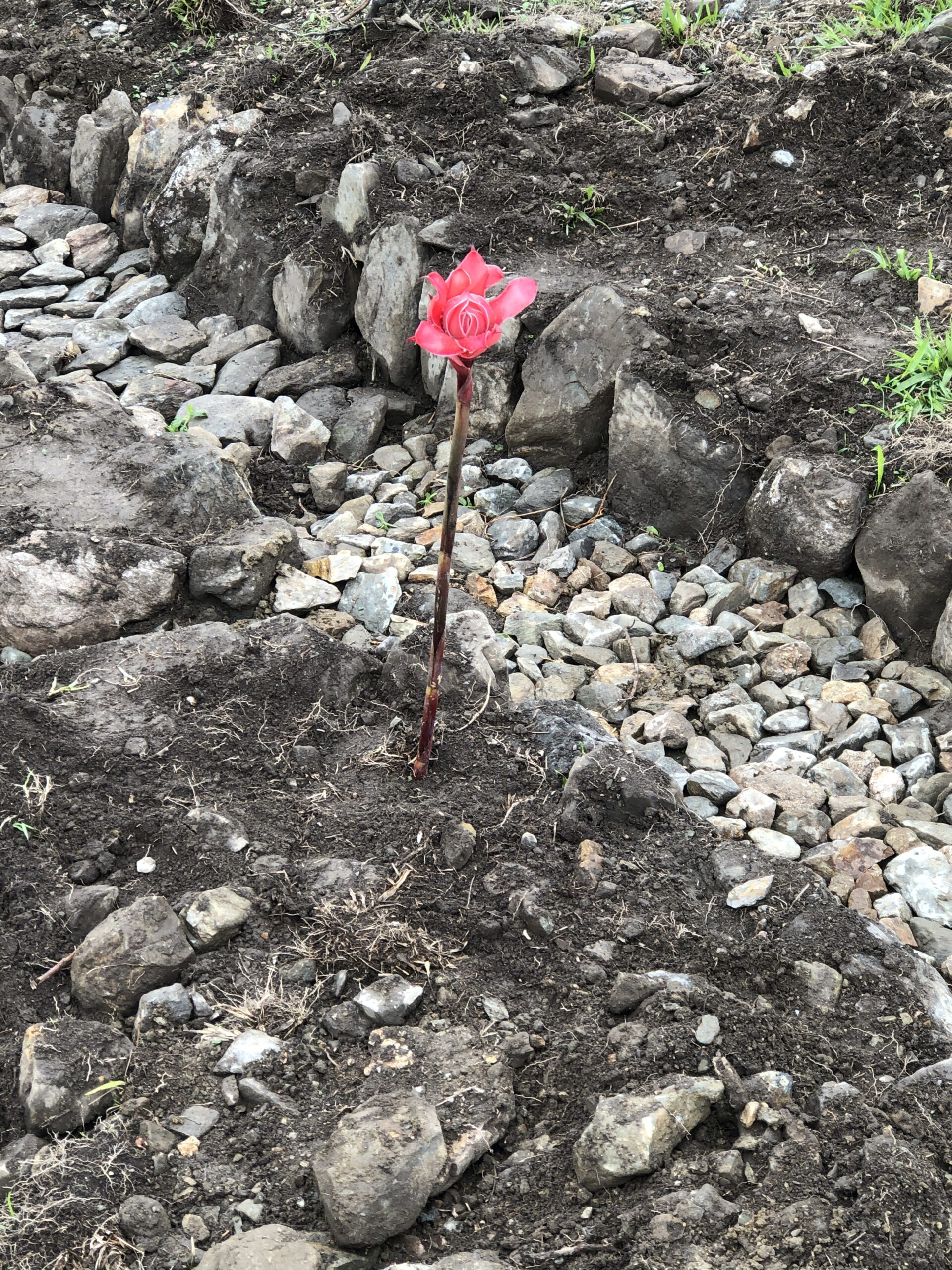 The Vicious Cycle of Fire, Landslides, and Soil Collapse: A Sustainable ...
