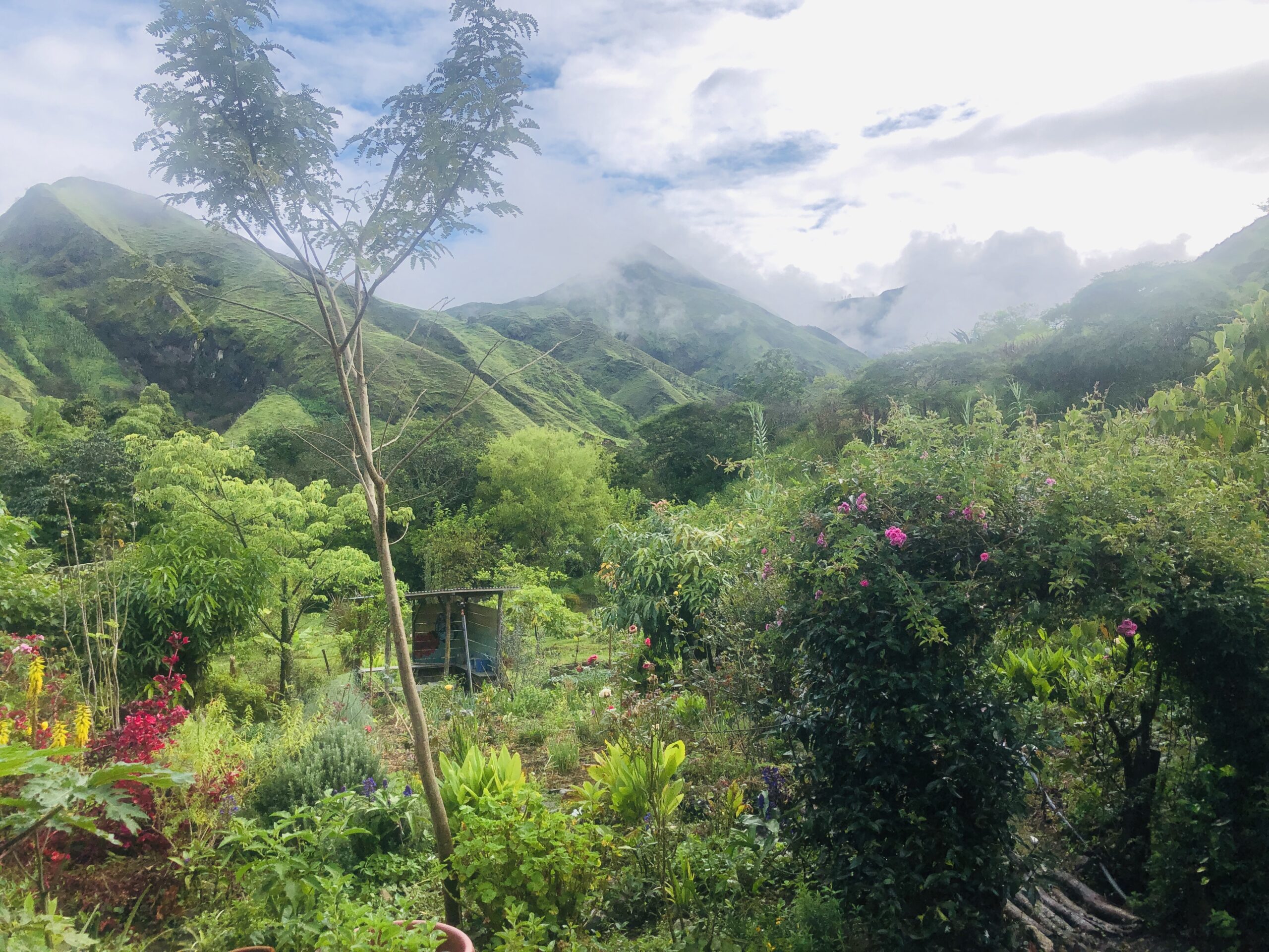 The Interconnectedness of Nature and Our Hearts - The Grounded Path